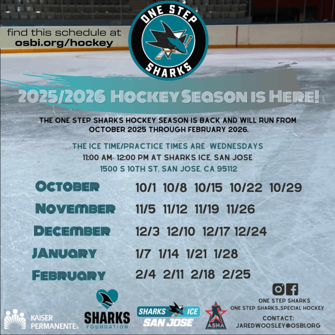 Ice Hockey Programs - Hockey Team Training - OSBI